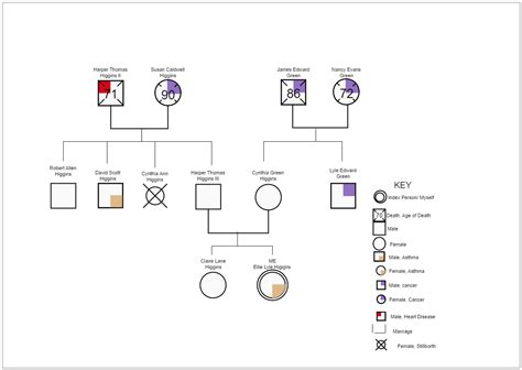 Image result for Detailed Genogram
