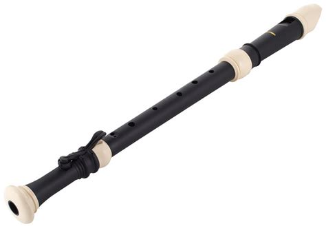 Image result for Tenor Recorder Performance