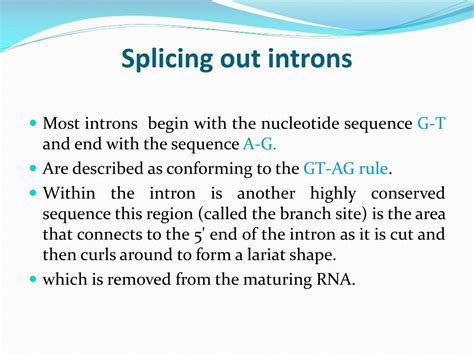 PPT - “Gene splicing” PowerPoint Presentation, free download - ID:1932252