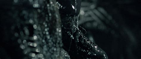 Image result for Alien vs Predator 2004 Fight