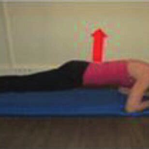 Image result for Trunk Bender Exercise