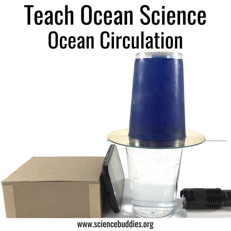 Image result for Marine Science Projects