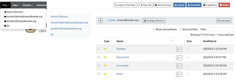 Image result for App Files Basic
