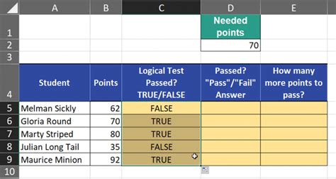 Image result for Excel IF Function Practice Questions