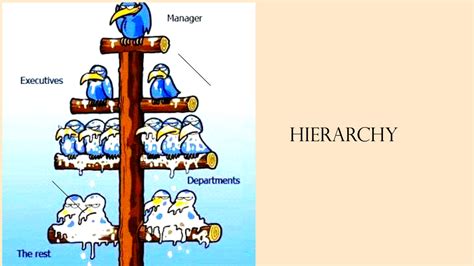 Image result for Ladder of Perception