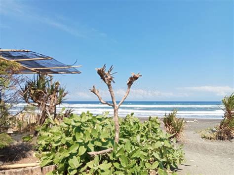 Image result for Island Near Java