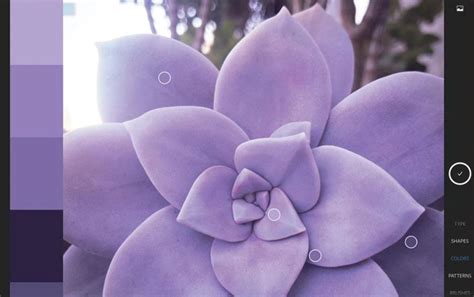 Image result for Colors Store Apps