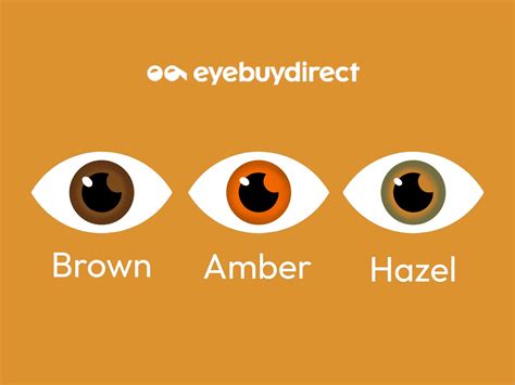 Image result for Eye Color Examples
