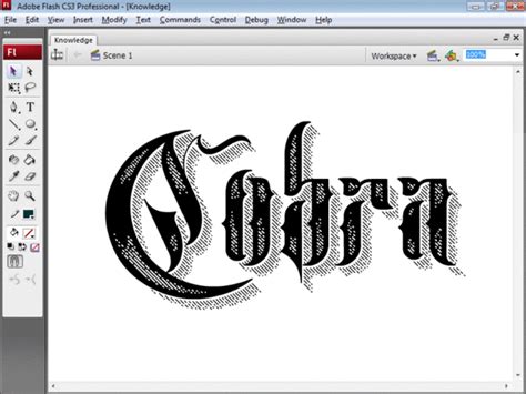 Image result for Flash Coding Language