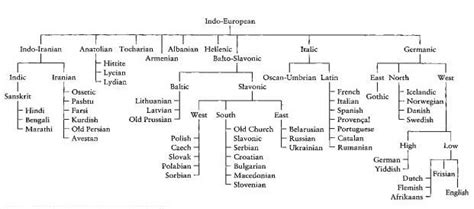 Image result for Language History Tree