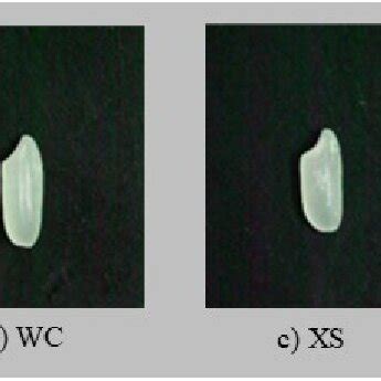 Image result for Chapter 12 Milled Rice