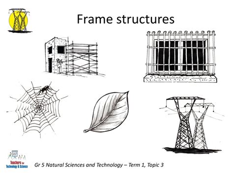 Image result for Frame and Shell Structures Grade 5 Worksheets