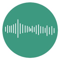 Image result for Audio Processing Icon