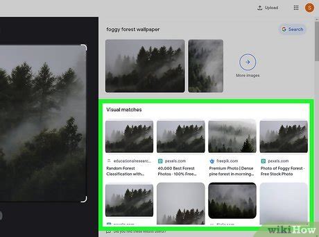 Image result for How to Search Web Using a Photo