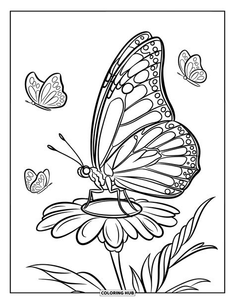 Image result for Shutterfly Coloring Pages