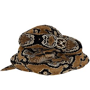 Image result for Python 3D Model