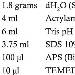 Image result for Resolving and Stacking Gel Composition