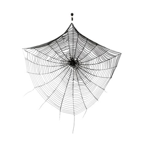 Image result for Spider Web Net