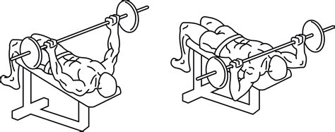 Image result for Workout Lab Graphics Bench Press