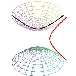 Image result for Spherical Involute