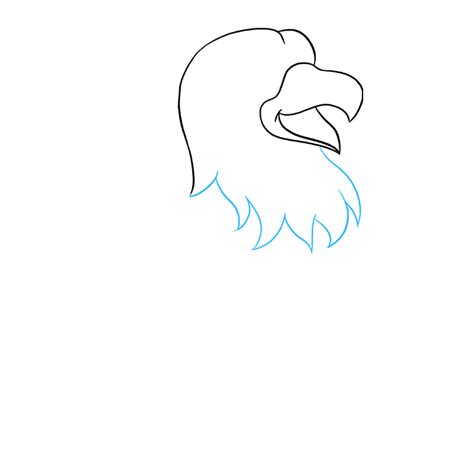 Image result for Hawk Drawing Easy Cartoon