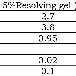 Image result for Resolving and Stacking Gel Composition