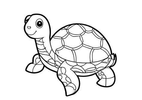 Image result for Turtle Coloring Pages