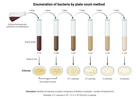 Image result for Total Count Method Microbiology
