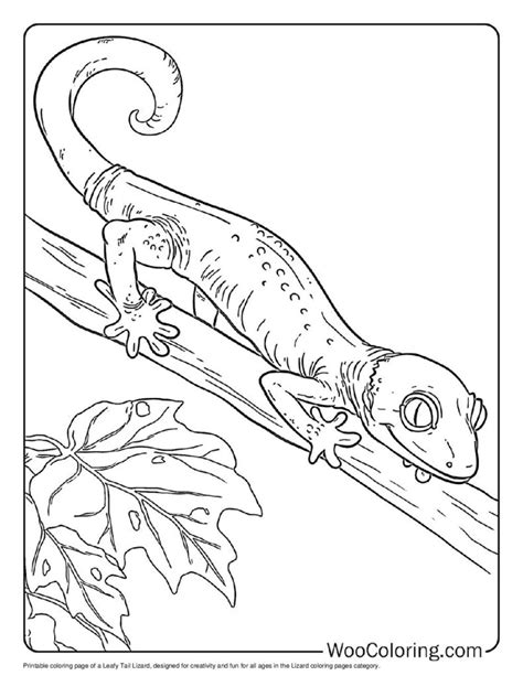 Image result for Lizard Coloring Pages