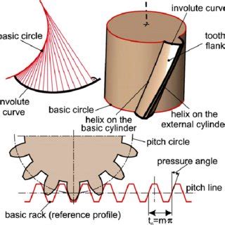 Image result for Involute Definition