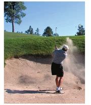 Image result for Grade 12 Advanced Functions Textbook PDF