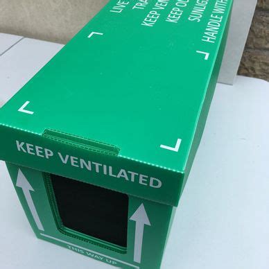 Image result for NUC Boxed