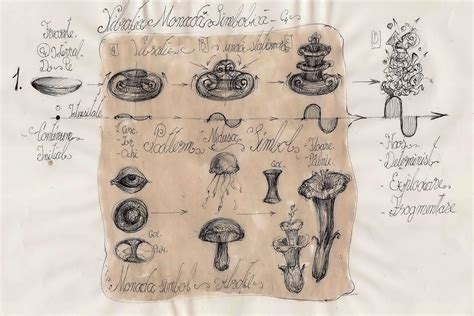 Image result for Vortex Theory