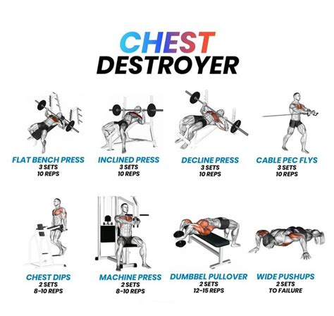 Image result for Chest Workout Machine