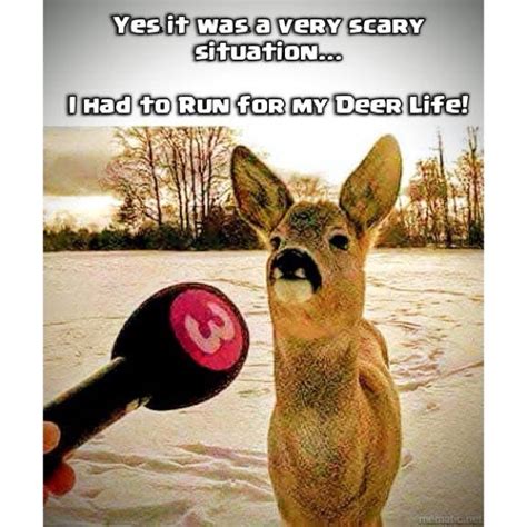 Image result for Run Memes Clean