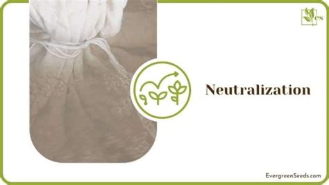 Image result for How to Apply Humic Acid