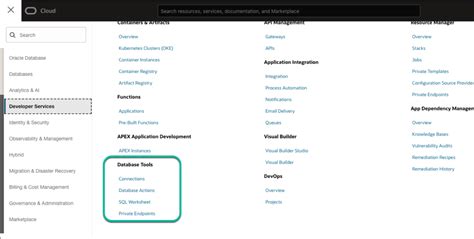 Image result for Oracle SQL Developer App