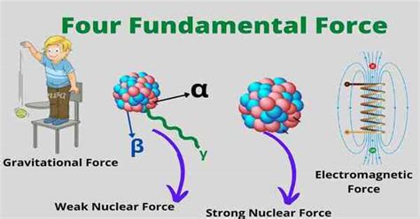 Image result for 4 Forces Example