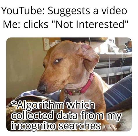 Image result for Algorithmic Thinking Meme