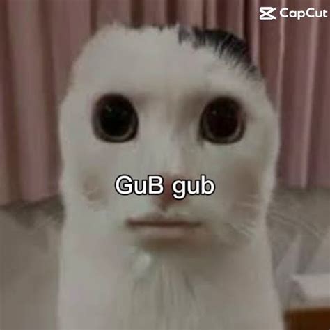 Image result for Larray Funny Pics