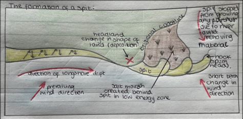 Image result for Formation of Spit Animation