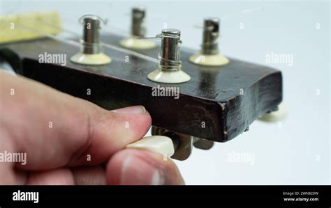 Image result for Ukulele 4 Strings