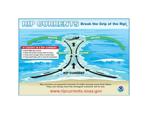 Image result for Rip Current Signs