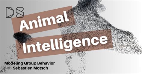 Image result for Group Behavior Model