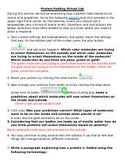 Image result for Protein Folding Simulation