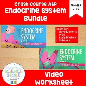 Image result for Endocrine System Crash Course Notes
