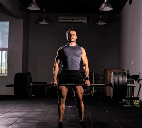 Image result for Best Lower Back Workouts