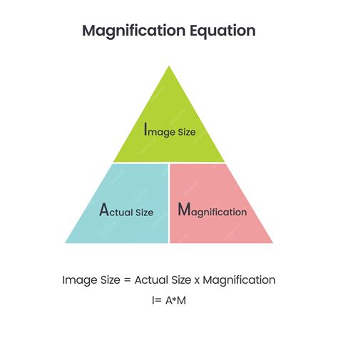 Image result for Magnification Animation
