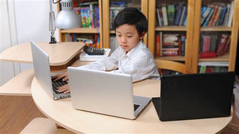 Image result for Computer Science Study Botes