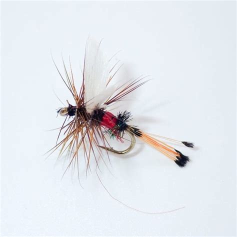 Image result for Royal Coachman Fly Pattern
